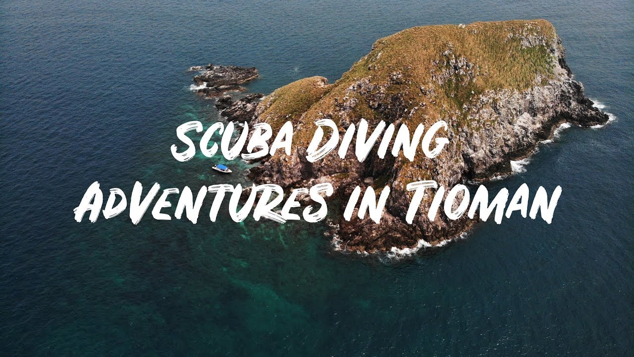 Scuba Diving Adventures in Tioman Island in 4K! - YouTube