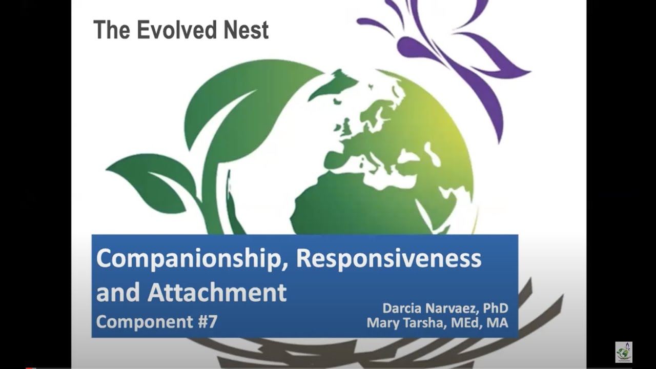 Evolved Nest Explained: Companionship, Responsiveness, Attachment - YouTube