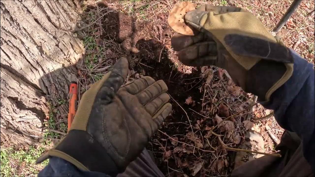 PA Treasure Hunters | Metal Detecting in the woods - YouTube