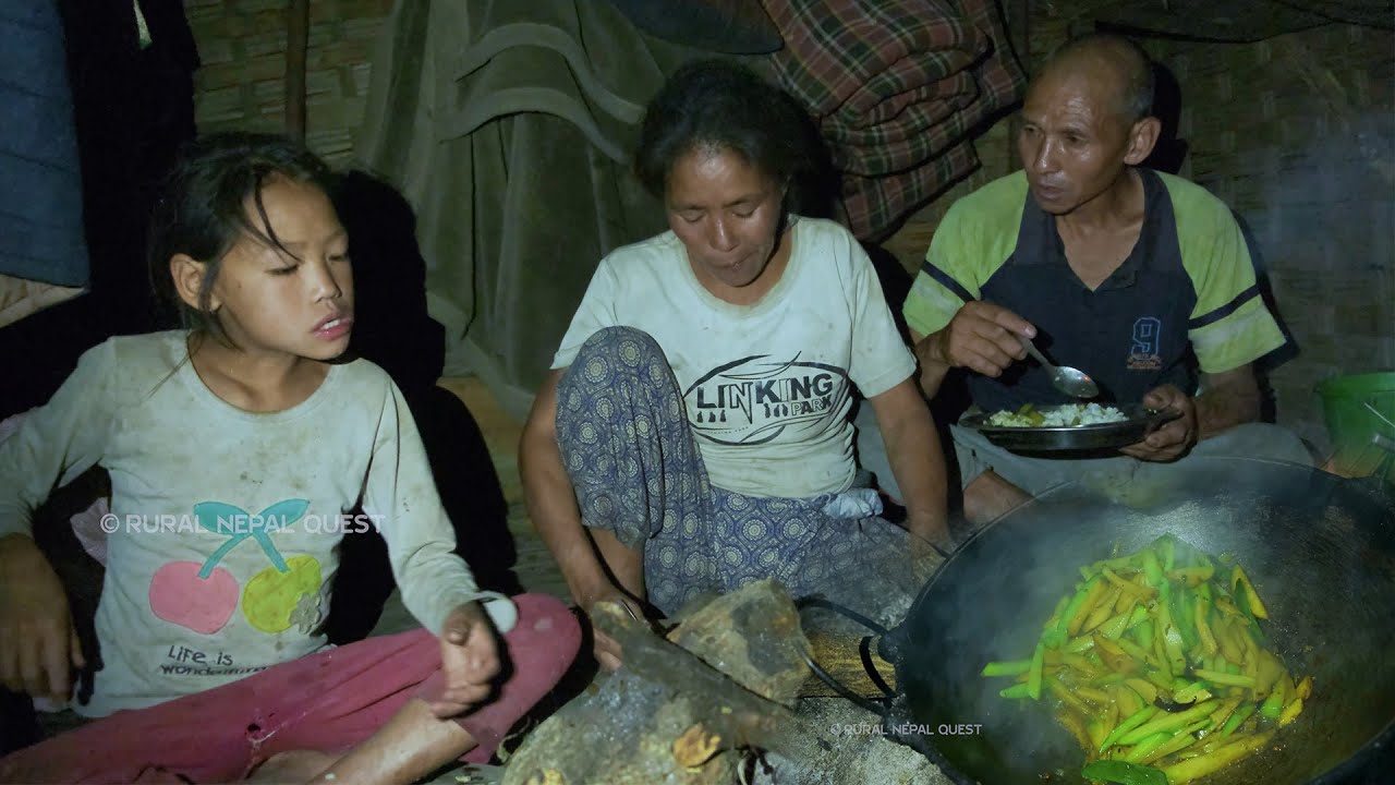 Family in the Jungle || Season - 2 || Video - 49 || Family in the ...