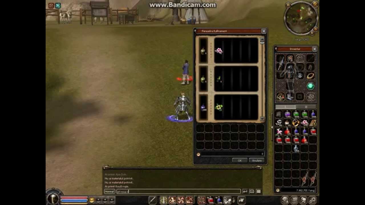 Metin2 ro WabitSlayer ghid roua - YouTube