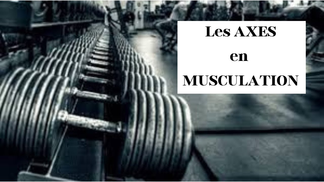 Les BASES de l’ENTRAINEMENT partie 2 : Les Axes de travail en ...