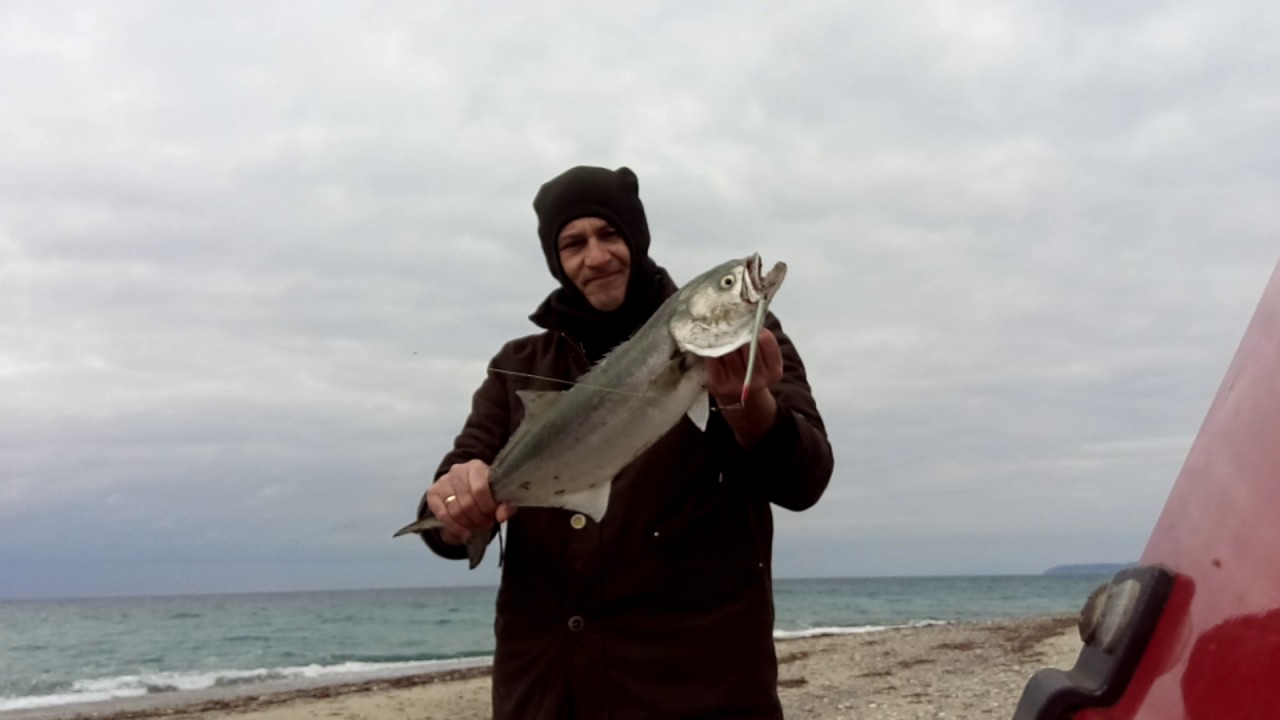 Bluefish Greece Ψαρεμα γοφαρι Χαλκιδικη - YouTube