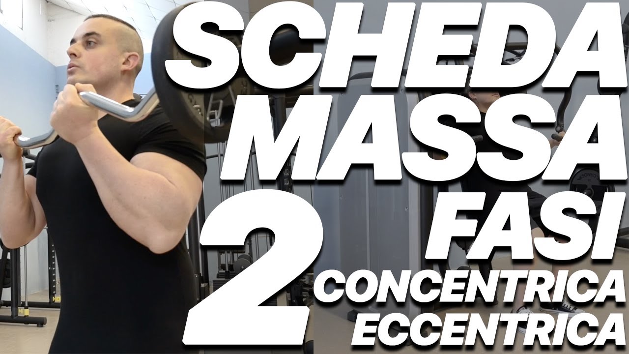 Scheda Massa Muscolare: Fase Concentrica vs Eccentrica (+Pompaggio ...