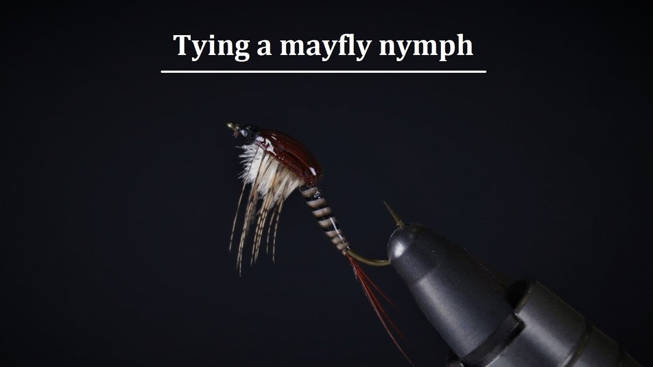 Tying a mayfly nymph - YouTube