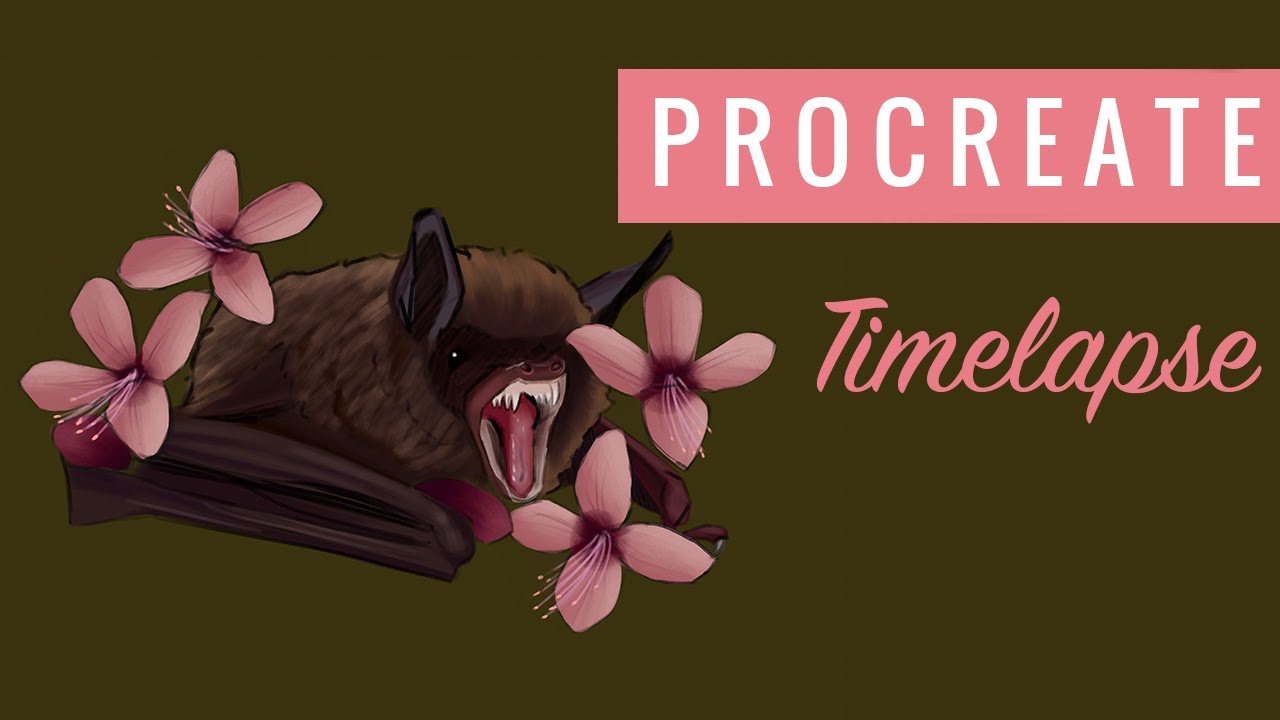 Bat Drawing Timelapse in Color with Procreate - YouTube