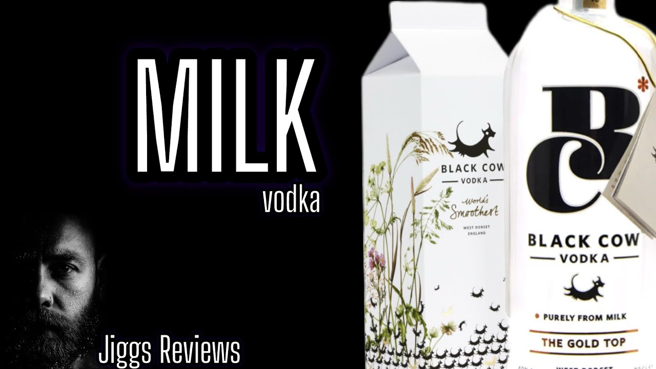Lets Review an alcoholic cow! Black Cow Vodka Review - YouTube