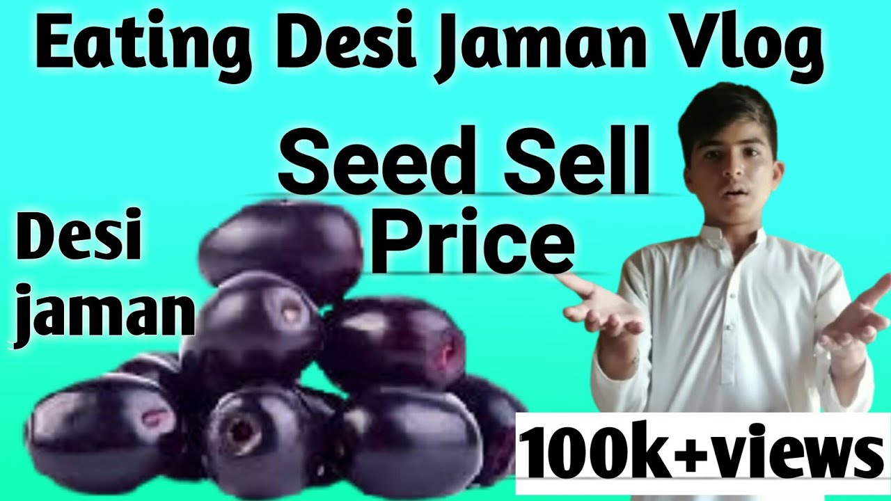 Natural Fresh BLACK JAMUN Fruits Jawa Plum Picking Packing and Eating ...