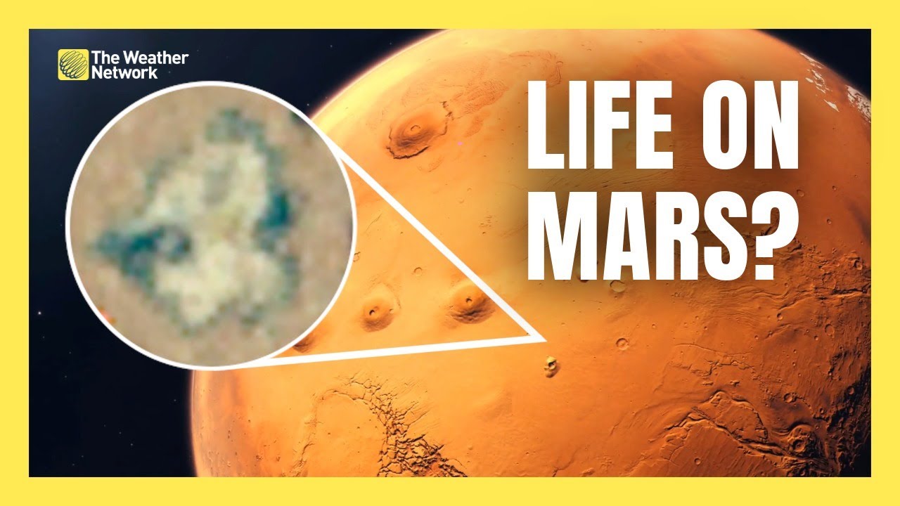 This Rock Likely Shows Evidence of Ancient Life on Mars - YouTube