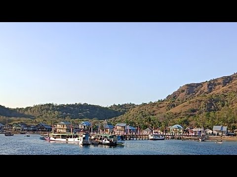 Komodo partnership sedang live di kampung Rinca - YouTube