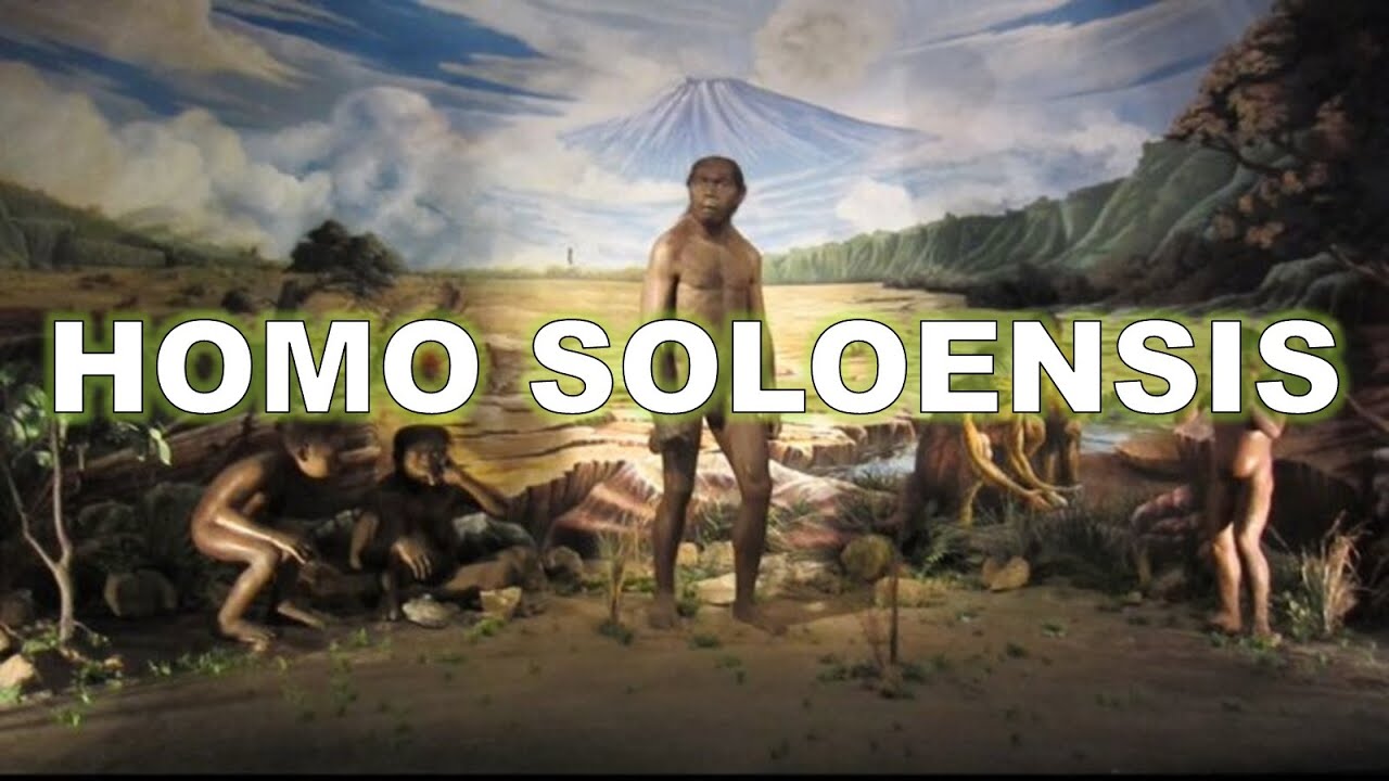 Solo man or Homo erectus soloensis - YouTube
