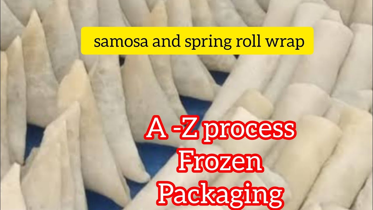 Samosa and spring roll wrap for beginners/ small chops business ...