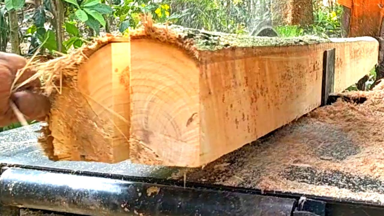 Tutorial cara terbaik penggergajian kayu waru agar tidak terjadi pecah ...
