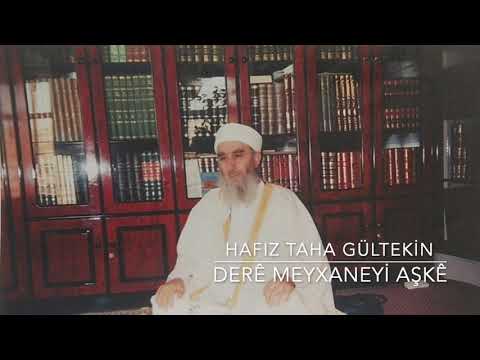 Hafız Taha Gültekin│Derê Meyxaneyi Aşkê