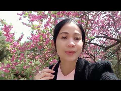 MAPAWOW KA SA LUGAR NATO/VERY RELAXING PLACE/YUYUANYAN PARK BEIJING/Emily's tv