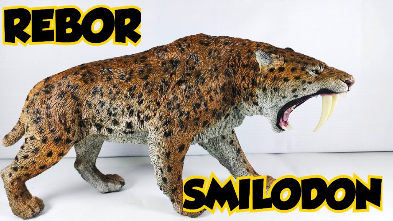Rebor Smilodon - leopard version - YouTube