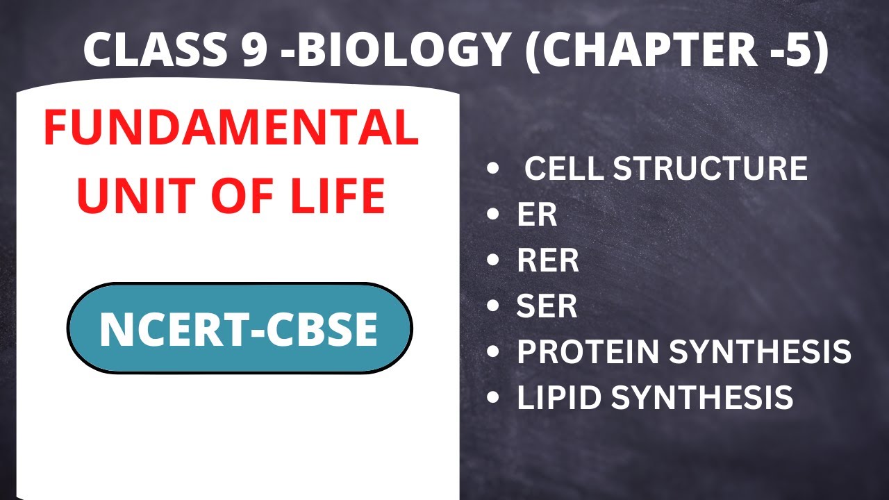 ENDOPLASMIC RETICULUM, RER, SER, CLASS 9TH, CH-5# BIOLOGY#NCERT # CBSE ...