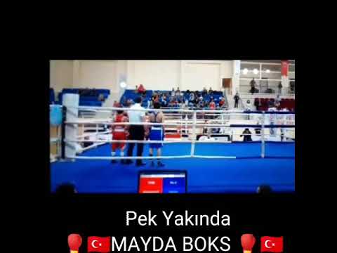 Küçük Boksörler ve Gelişimleri