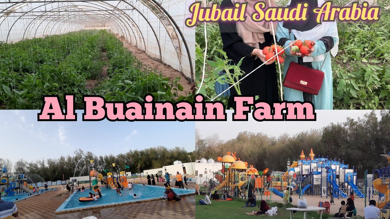 Al buainain farm and resort jubail | Al Buainain Farm Jubail Saudi ...