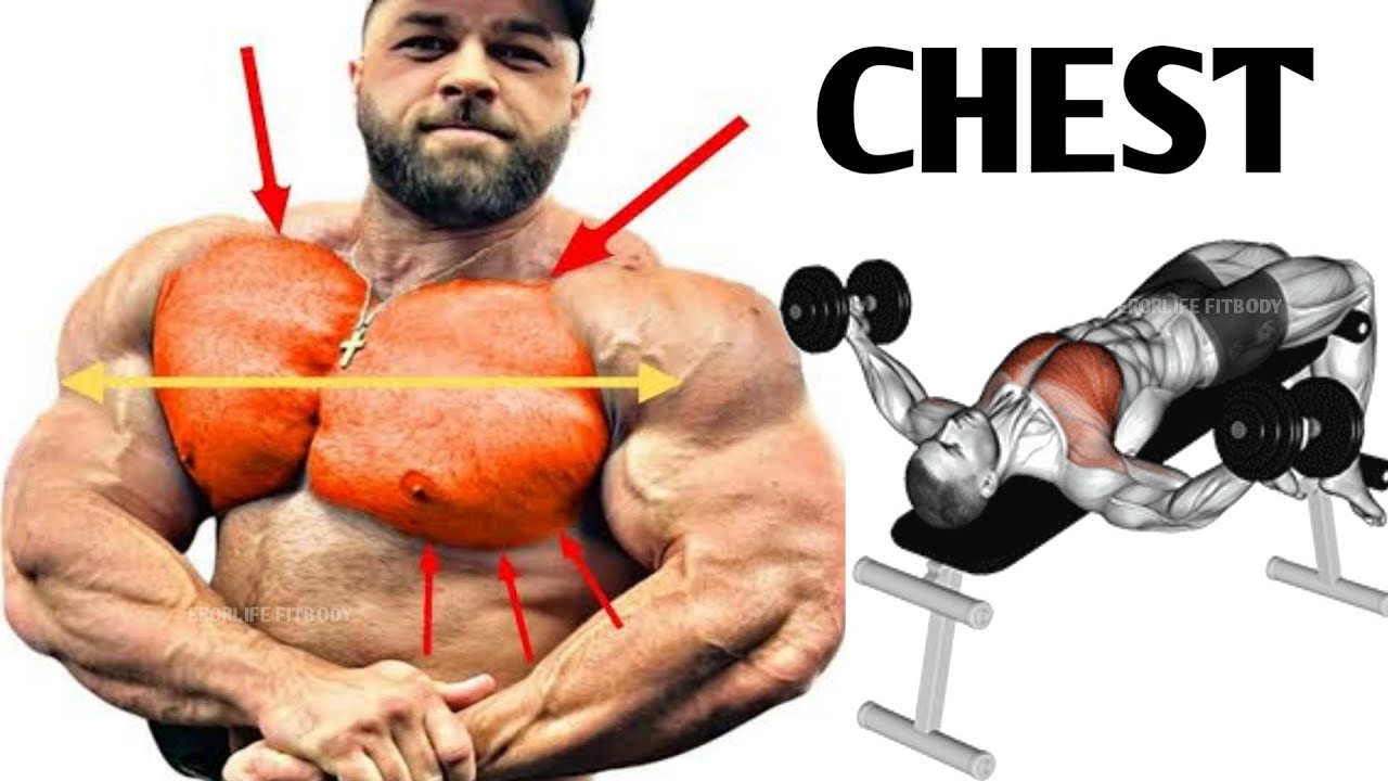5 Effective Exercise For Muscular Chest | ERORLIFE FITBODY - YouTube