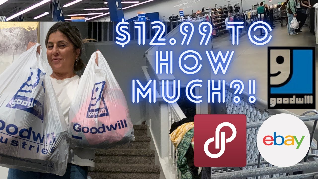 $12.99 GOODWILL FIND IS WORTH OVER A $100 | THRIFT WITH ME FOR ...