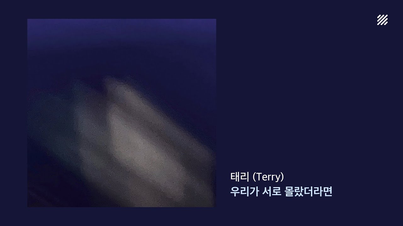 Official Audio 태리 Terry 우리가 서로 몰랐더라면 If We 가사 Youtube