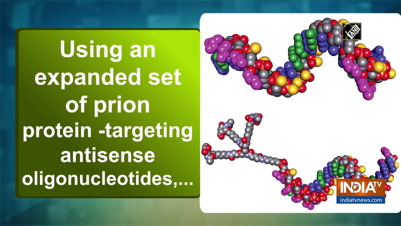 Researchers find new potential treatment for prion diseases - YouTube