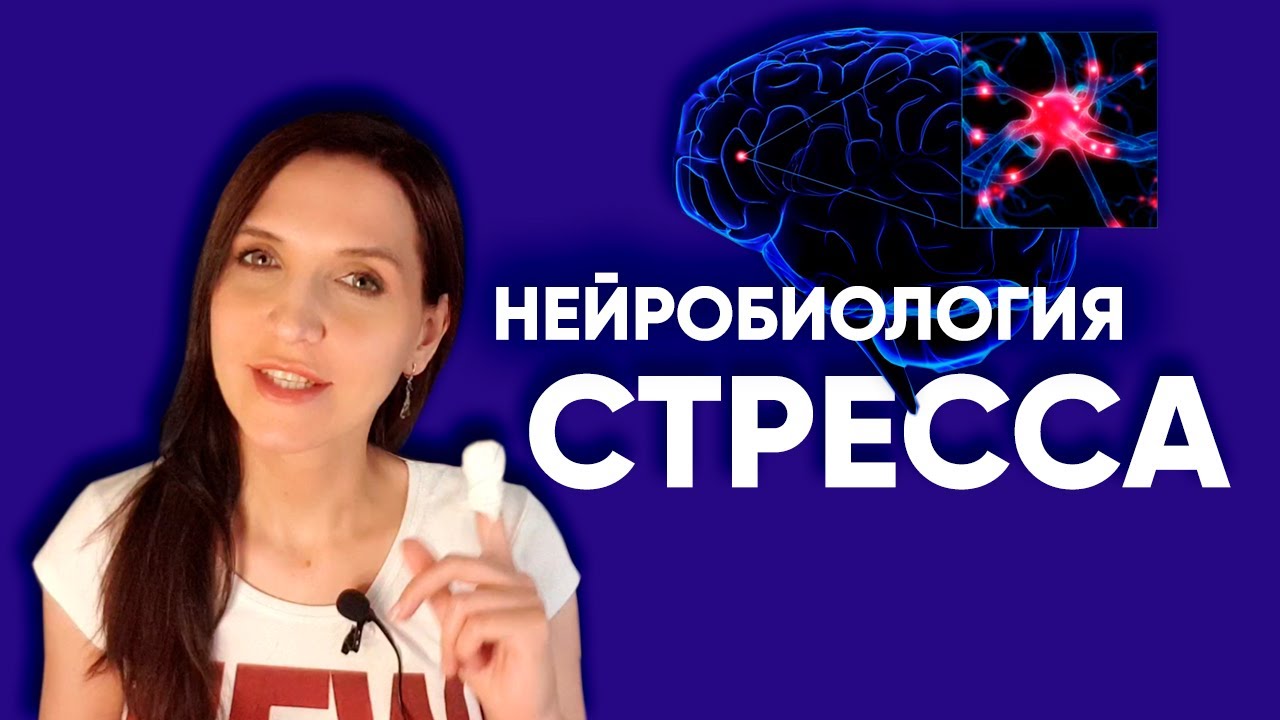Как стресс влияет на организм и вызывает болезни Нейробиология стресса