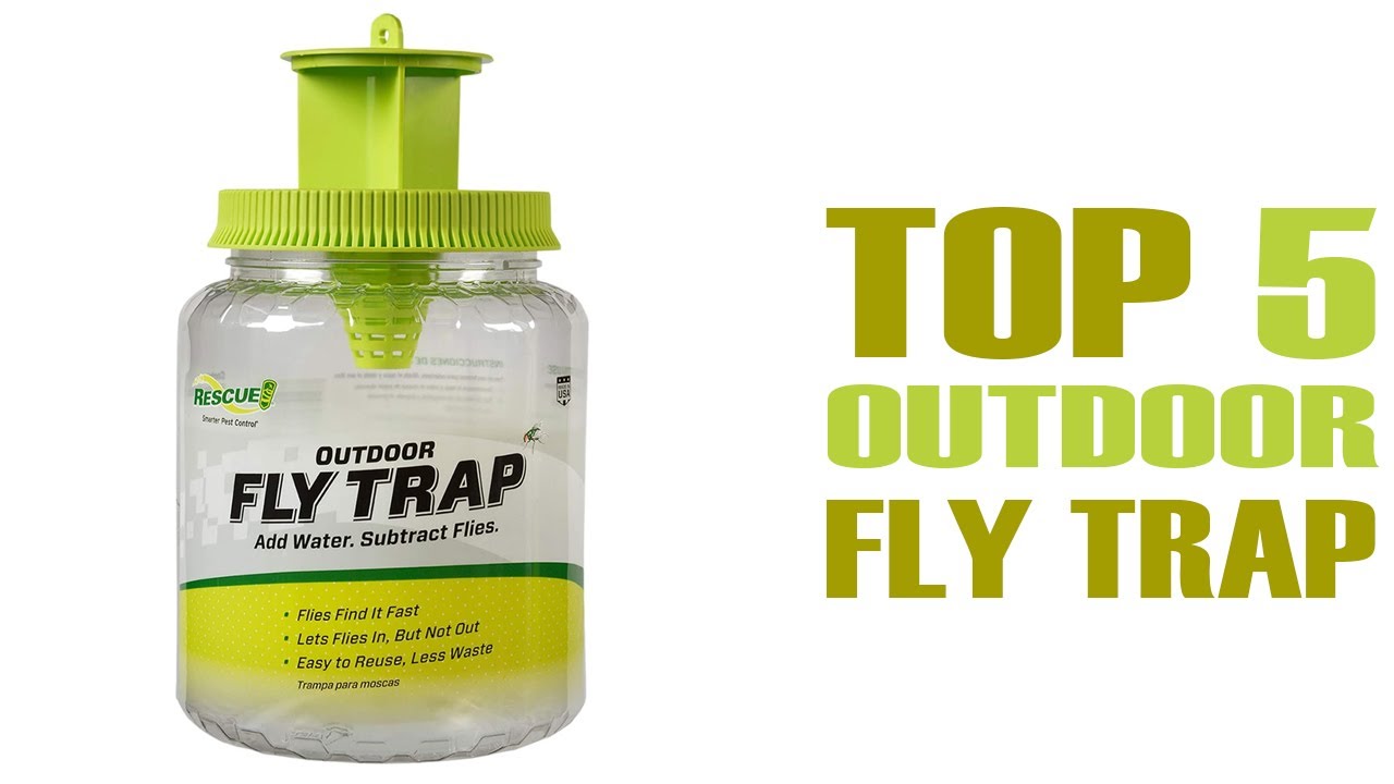 Best 5 Fly Trap for Outdoor | Ultimate Reviews & Buyer’s Guide! - YouTube