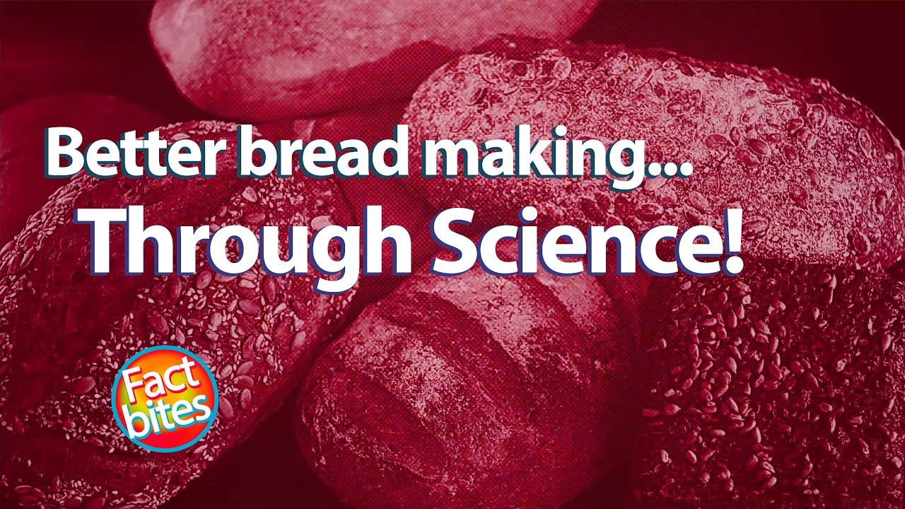 Better Bread making Through Science! Lets Bake Some Bread! - YouTube