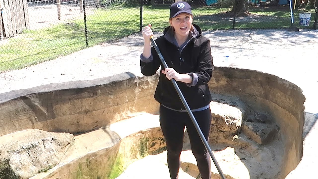 We Volunteered At An Exotic Animal Sanctuary! | Amazing Animals Inc. In ...