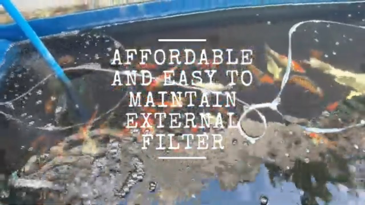 Affordable and Easy to Maintain External Filter System that REALLY ...