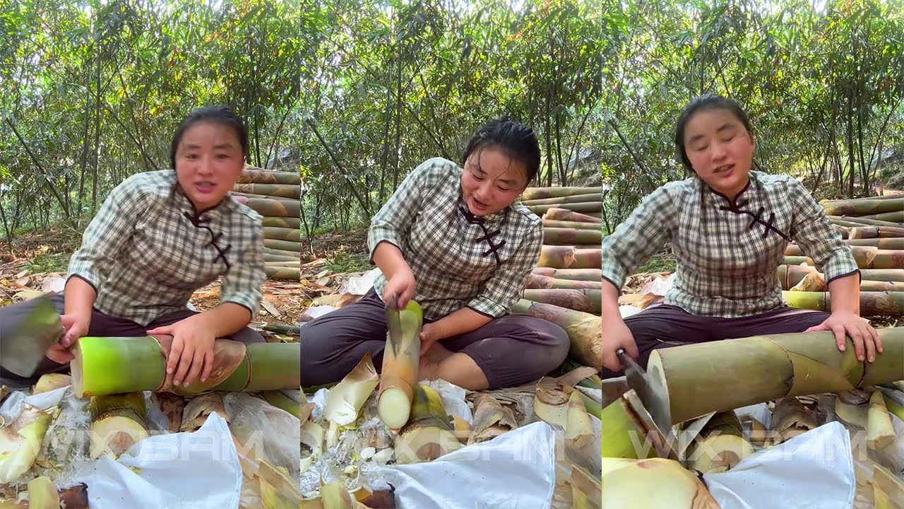 How To Cutting Bamboo Shoot Professional P160 - YouTube