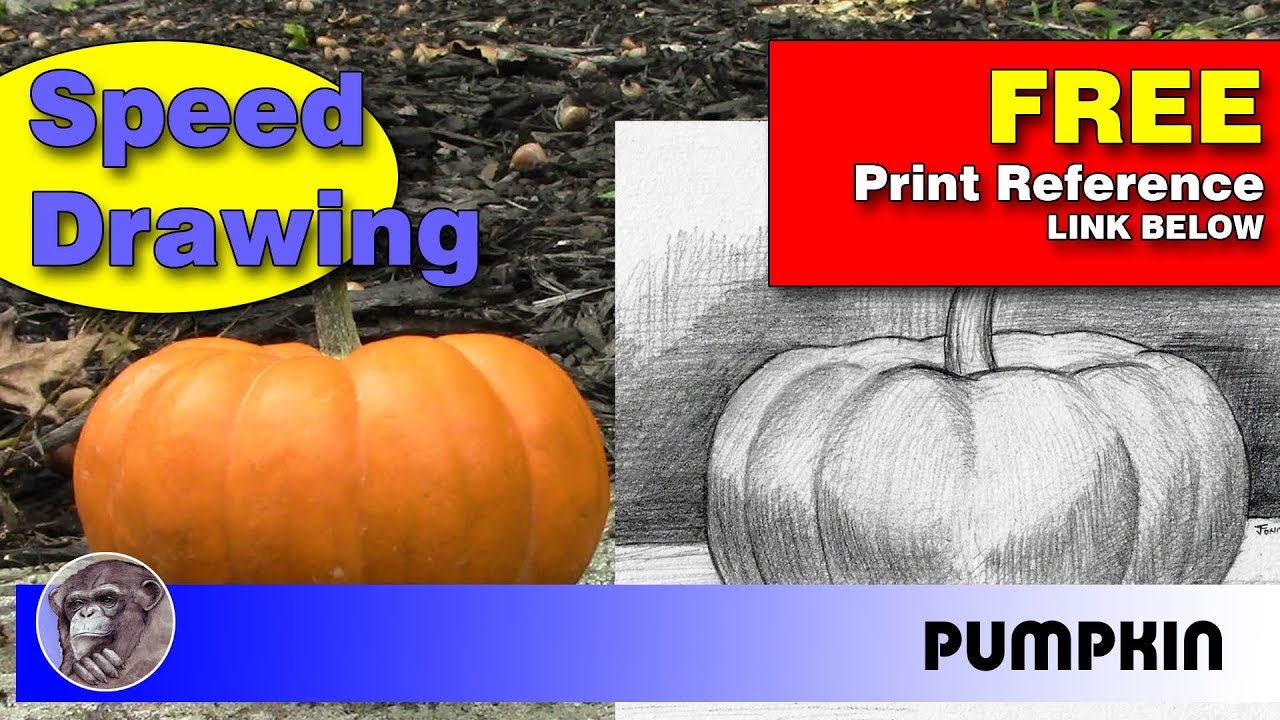 008 How to Draw a Tiny Pumpkin - One Hour SPEED Drawing - 008 - John Cichowski - YouTube