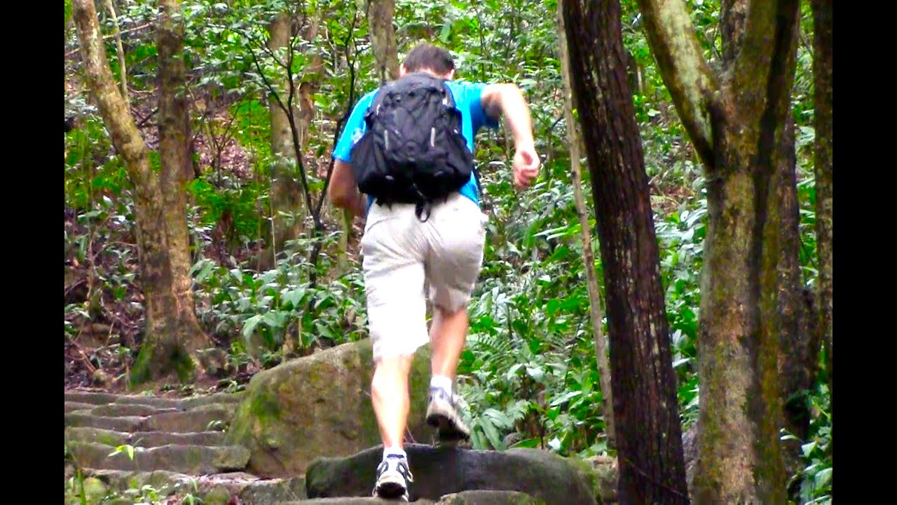 Hong Kong Hiking: Wilson Trail Section 4 衛奕信徑第4段 - YouTube