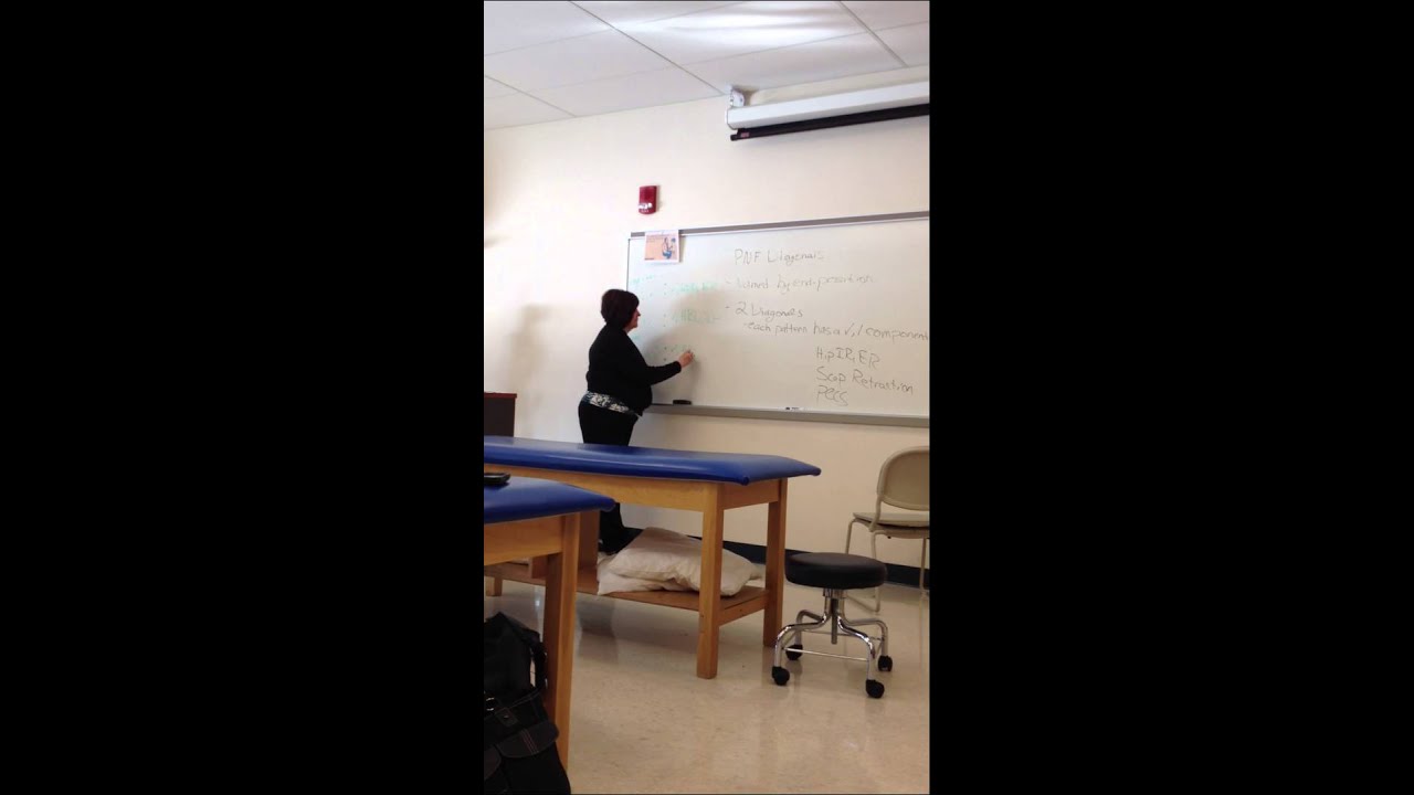 Shoulder: D1 Flex/ Ext, D2 Flex/ Ext - YouTube