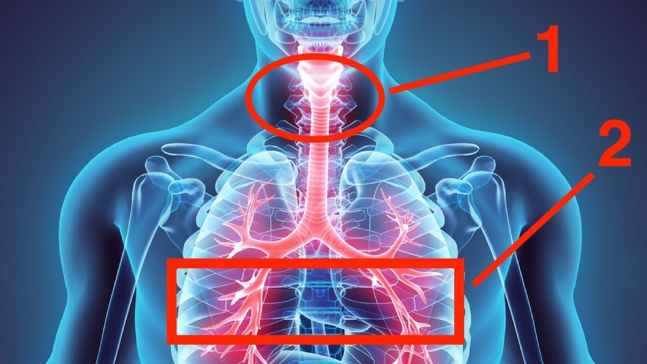 How To Have A Deeper & Powerful Voice With THIS Trick - YouTube