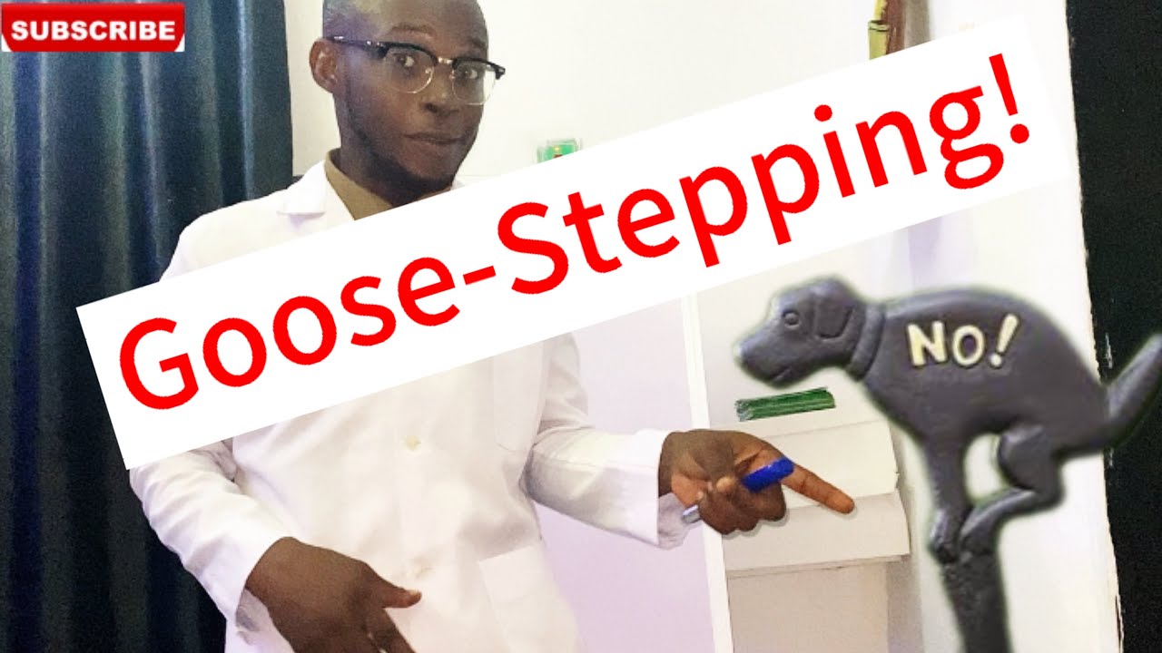 Goose-stepping in animals 🐶 🐷 🐄 🐈 🐣 - YouTube