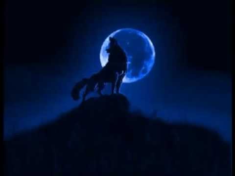 ATİLLA YILMAZ - İTTEN KURT'A FAYDA GELMEZ