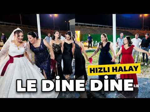 LE DİNE DİNE /  Wedding Live Gaziantep 2026 GRUP Ayaz - Hızlı Halay #ledinedine #halay #kurdi #şevko