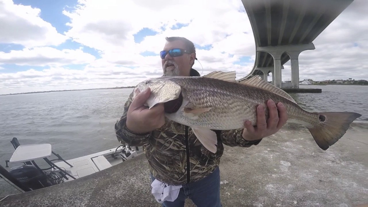 Biggest RedFish of my life!!! Fishing in Florida - YouTube