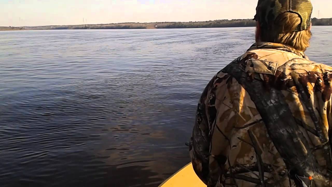 Duck hunting merrymeeting bay maine - YouTube