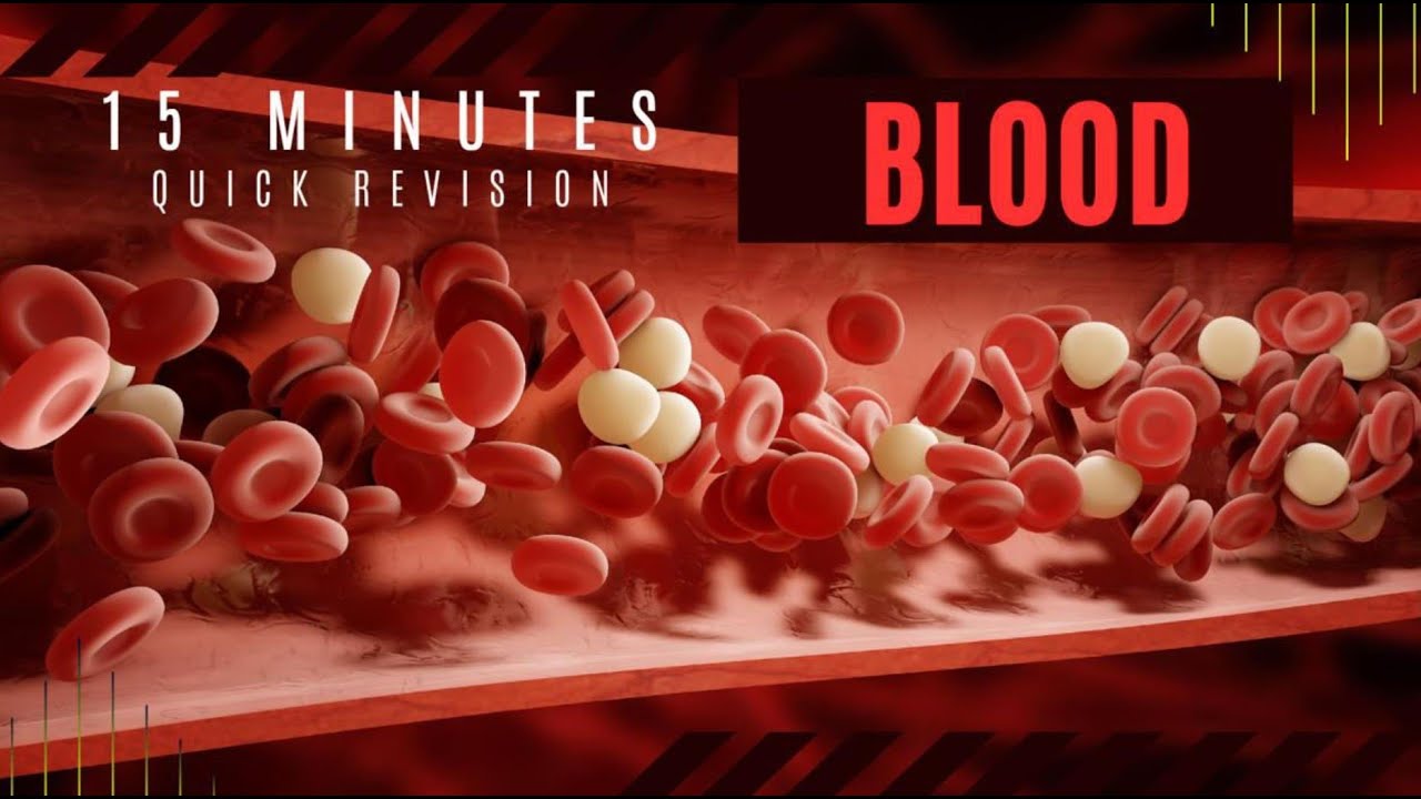 BLOOD - (Introduction to blood) - YouTube