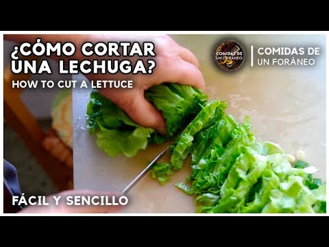 Cómo cortar Lechuga para ensalada | How to: Cut Lettuce - YouTube