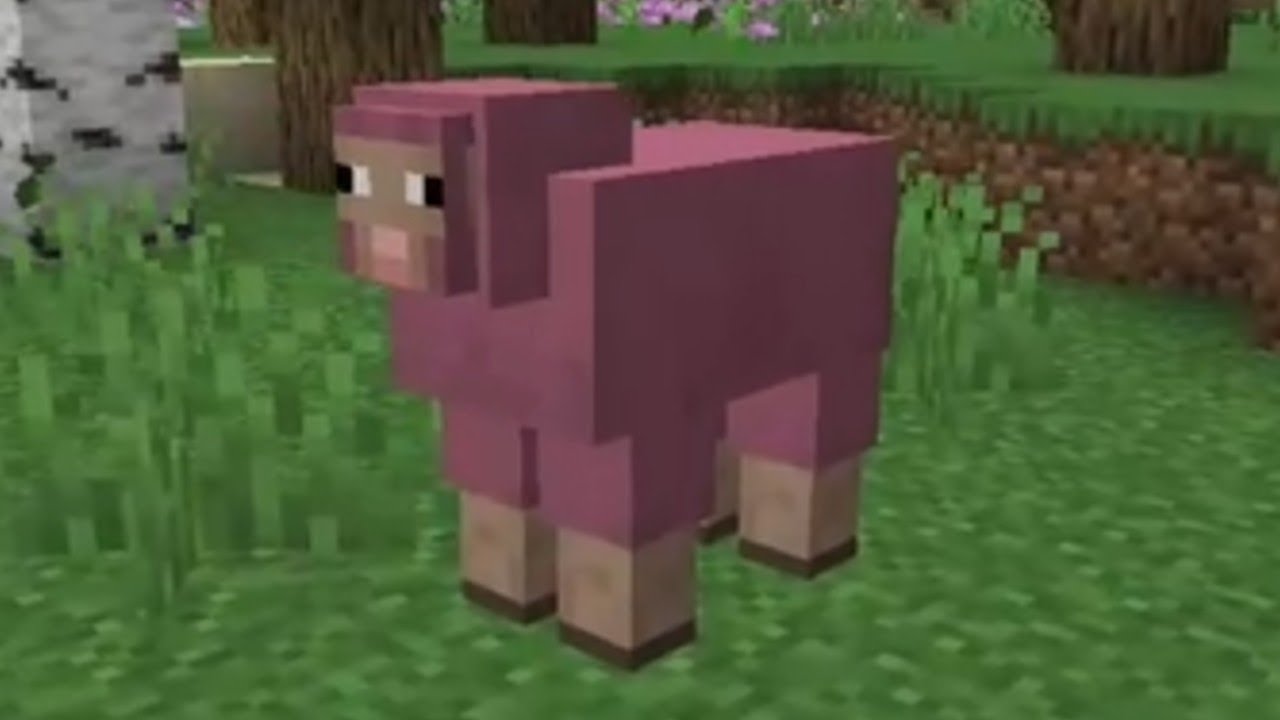 How to Summon a Pink Sheep in Minecraft Java Edition - YouTube