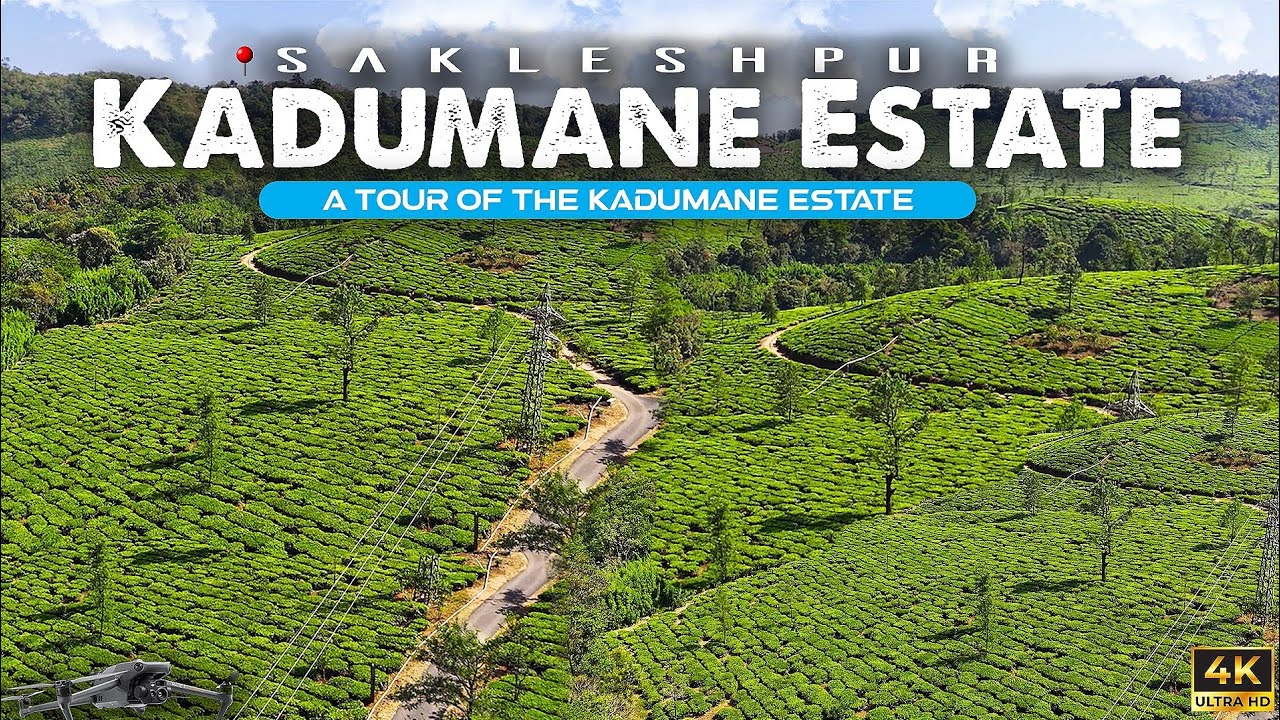 Kadumane Estate Sakleshpur Full Detail Video | Place To Visit ...
