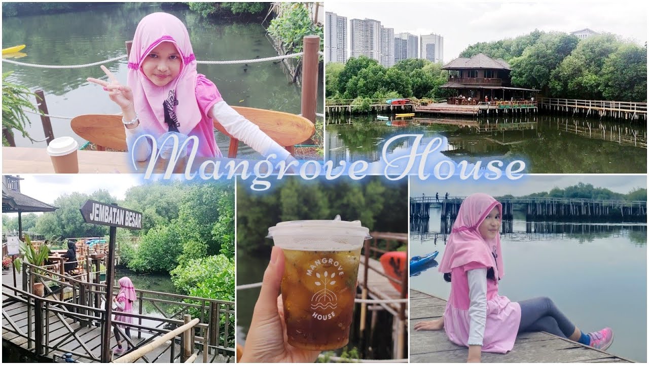 MANGROVE HOUSE Cafe ditengah Hutan ☘️ Kota Jakarta - YouTube