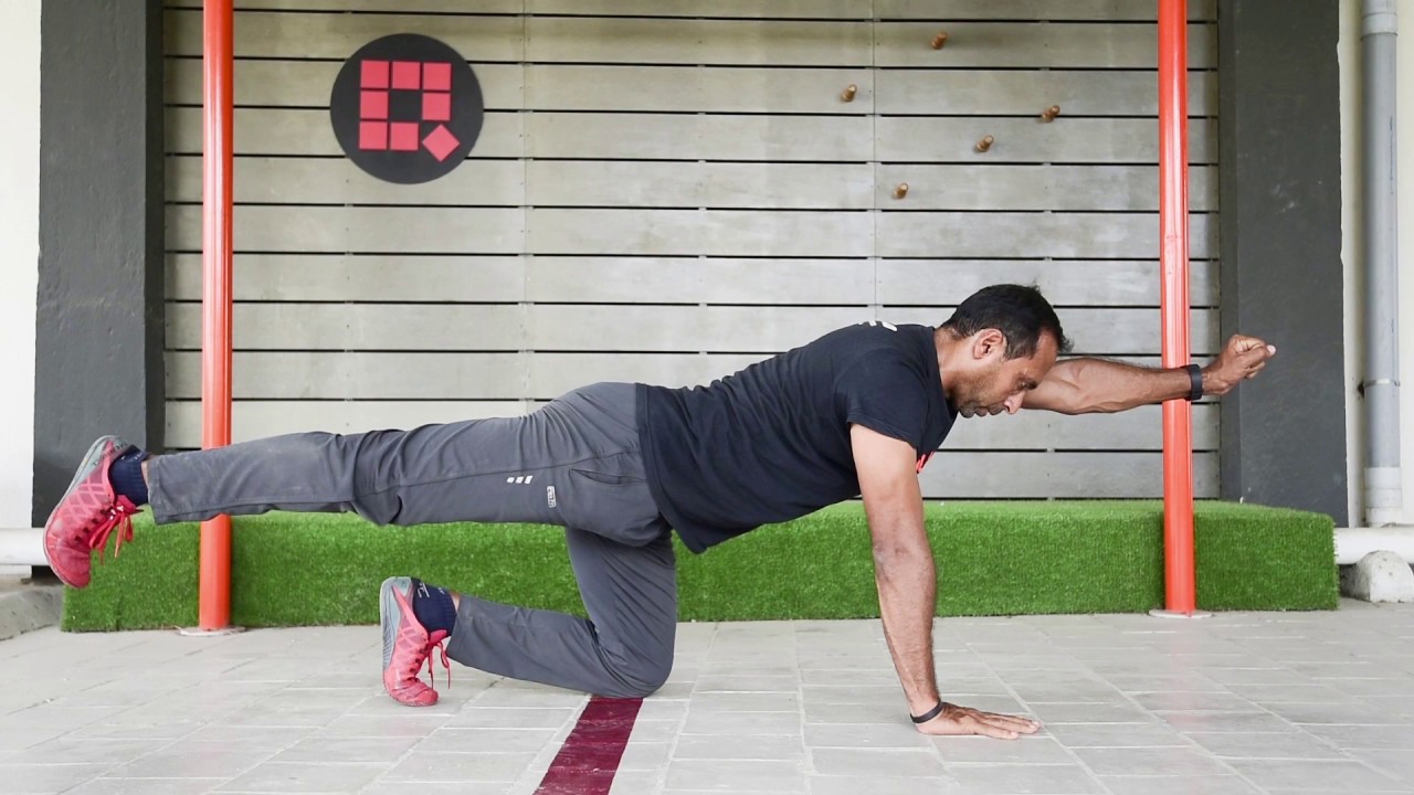 The Quad - Movement Tutorial - Bird Dog - YouTube