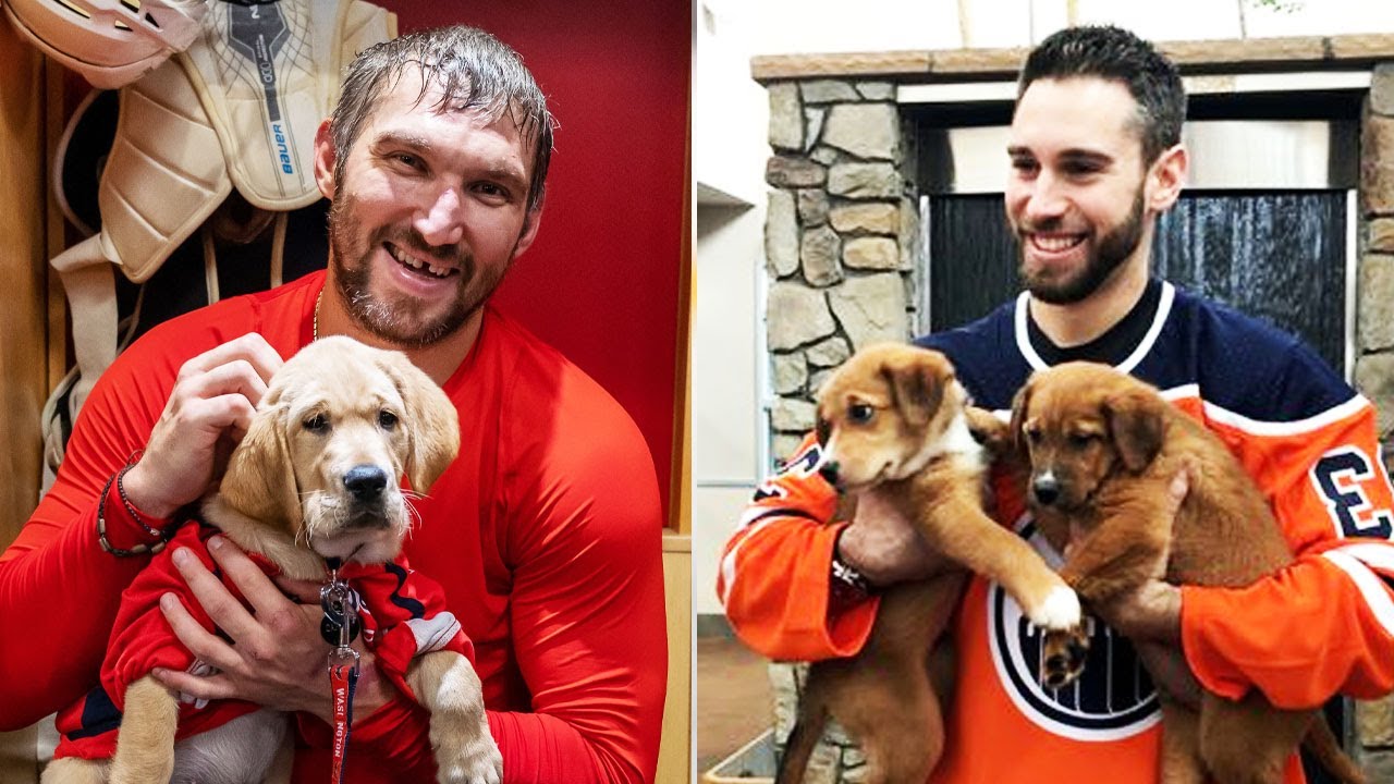 NHL Players & Dogs Ultimate "Wholesome" Compilation - YouTube