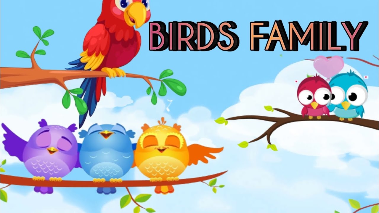 Birds kingdom || birds cartoon||cartoon in english||cartoon panda ...